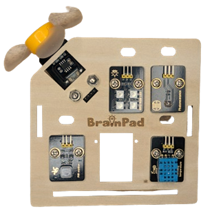 BrainSense Assembly Instructions | BrainPad